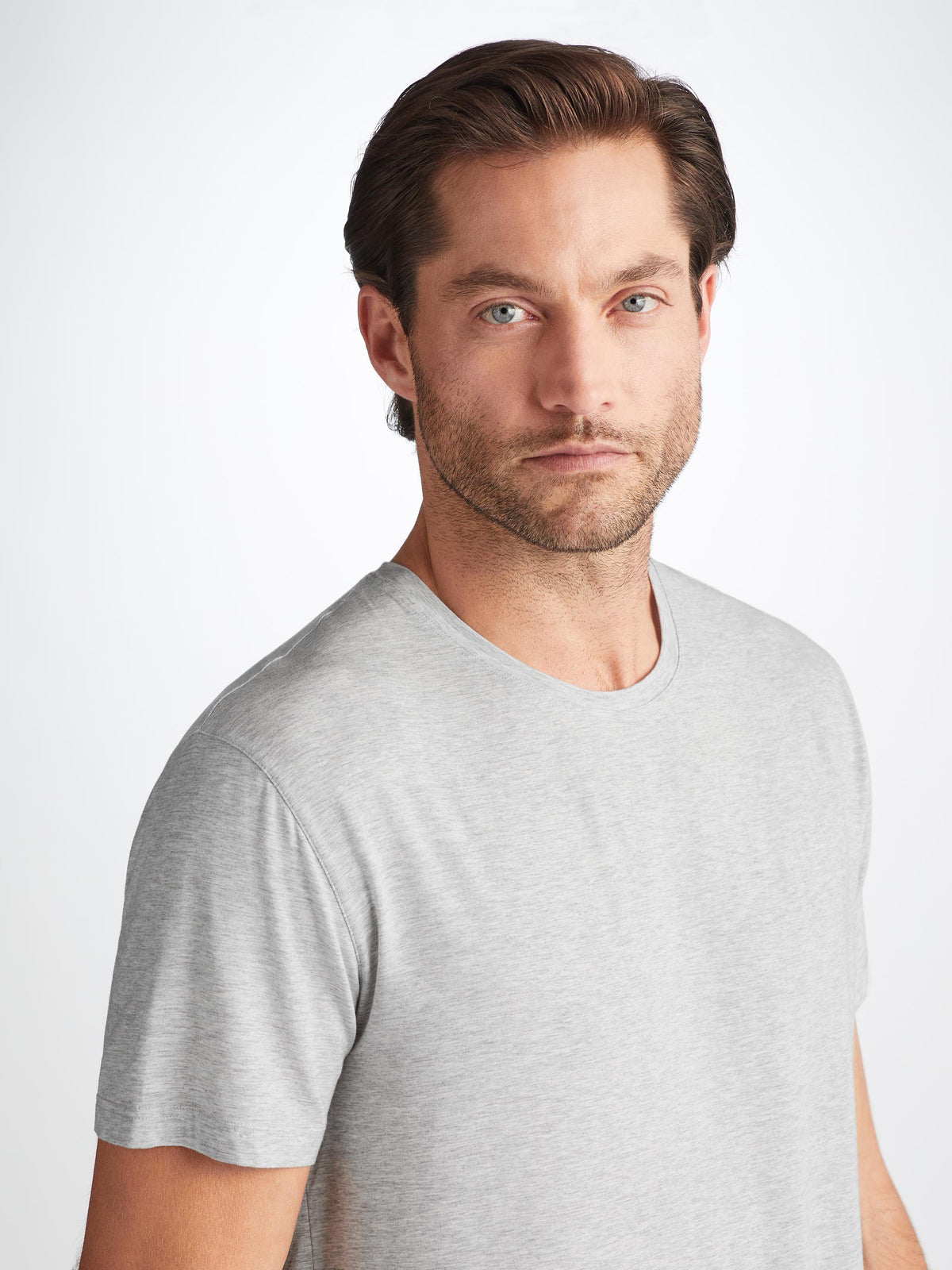 Men's T-Shirt Ethan Micro Modal Stretch Silver Marl | Derek Rose